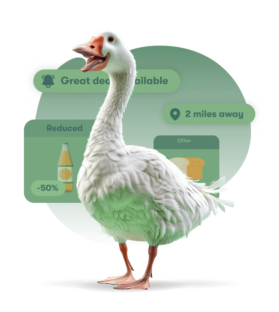 Bruce the Goose with deals